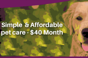 Hamilton Vetcare – Vet Clinic – Hamilton – Vet
