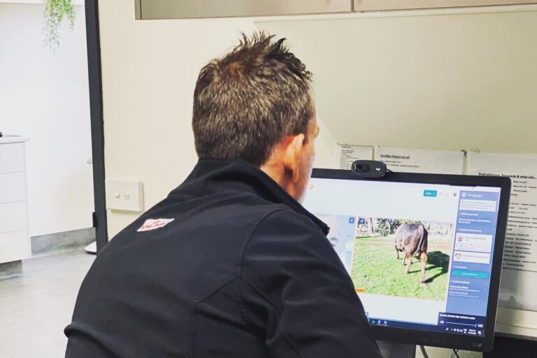 Hamilton Vetcare – Vet Clinic – Hamilton – Vet